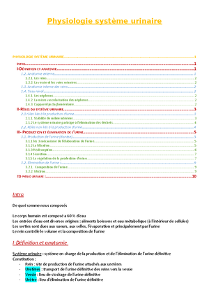 Le systeme urinaire - PHYSIOLOGIE RENALE : Le Système Urinaire Nous ...