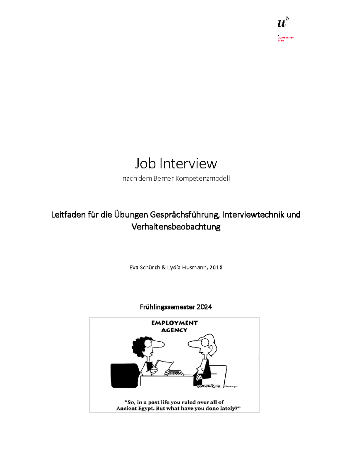 Leitfaden Job Interview - Job Interview nach dem Berner Kompetenzmodell ...