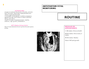 Teaching OB - ROUTINE TESTING ULTRASOUNDS Images of maternal structures ...