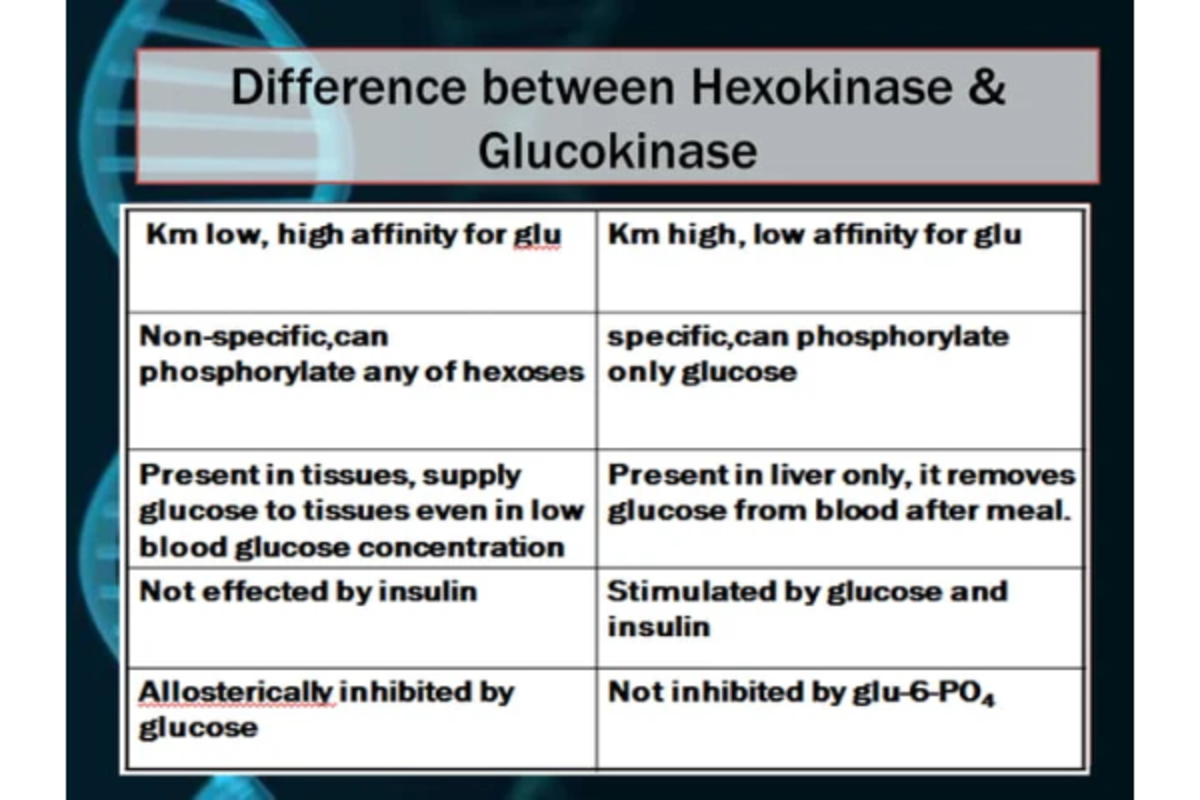 Group 1-assessment-test-pt-1 49 175 2021 - Still Life - Difference ...