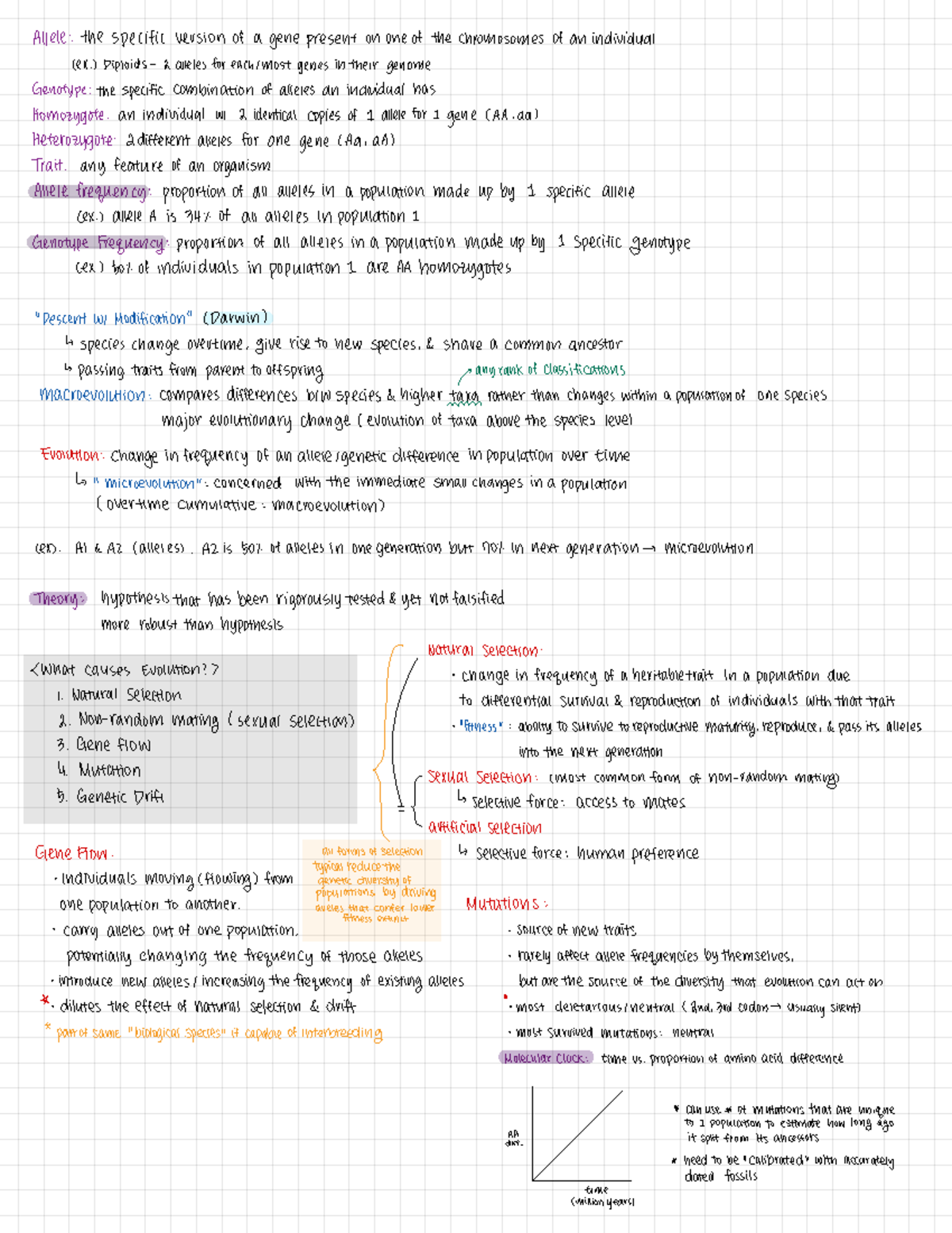 Exam 3 Summary - Exam 3 Dr. Roberts Notes - Allele:the specific version ...