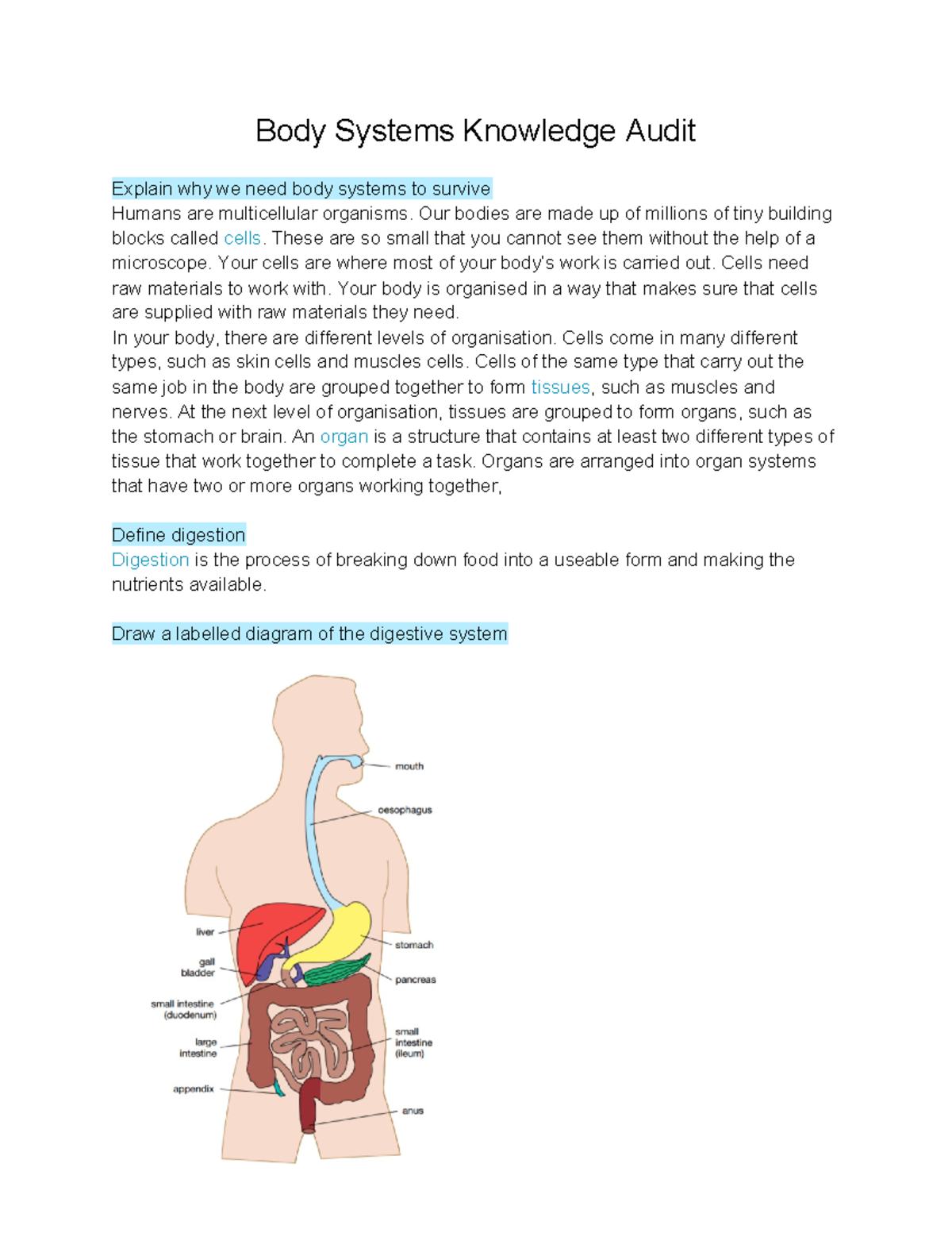 year 8 science notes body systems knowledge audit science - Body ...