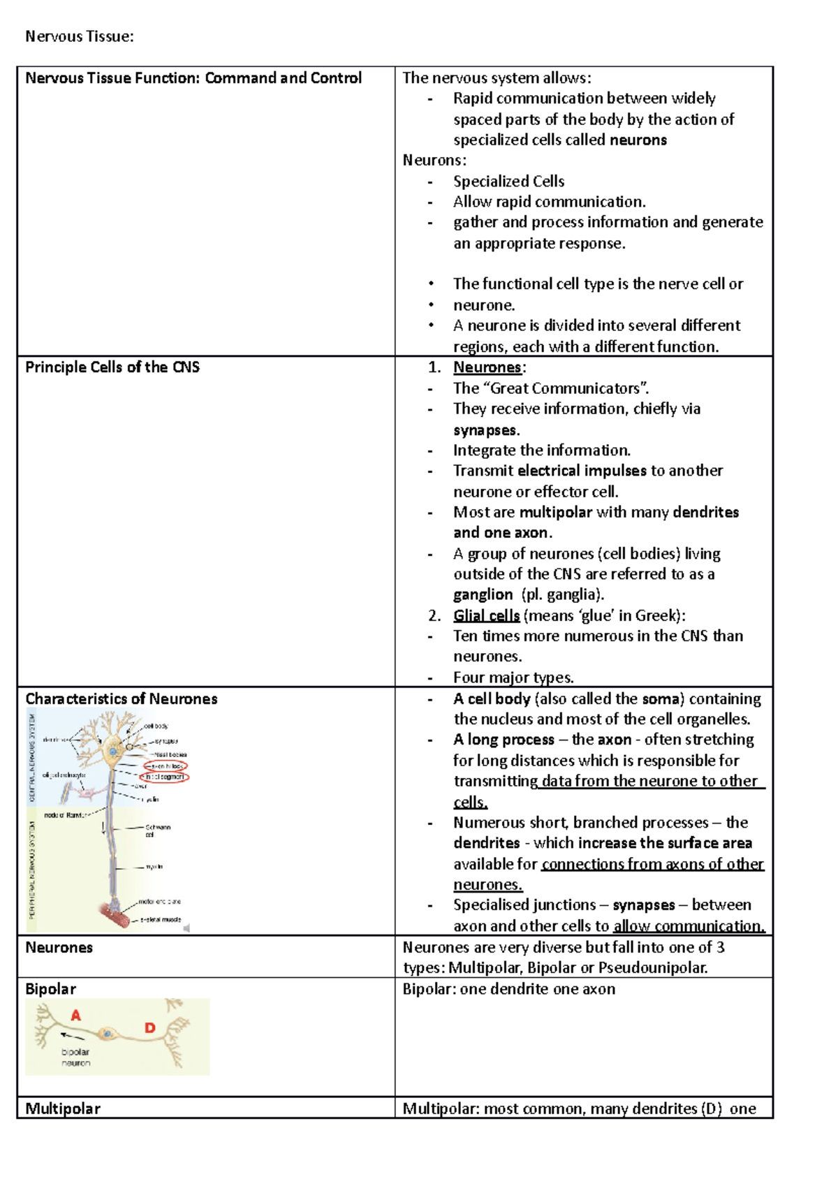 Nervous Tissue - Week 7 - Nervous Tissue: Nervous Tissue Function ...