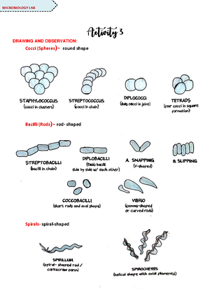 Biotechnology for Beginners - - Studocu