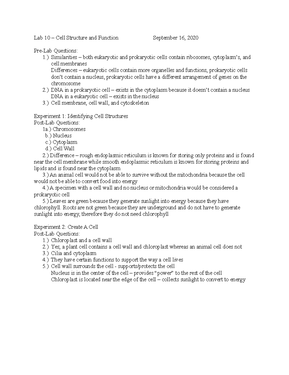 Lab 10 Cell Structure And Function 1 Lab 10 Cell Structure And
