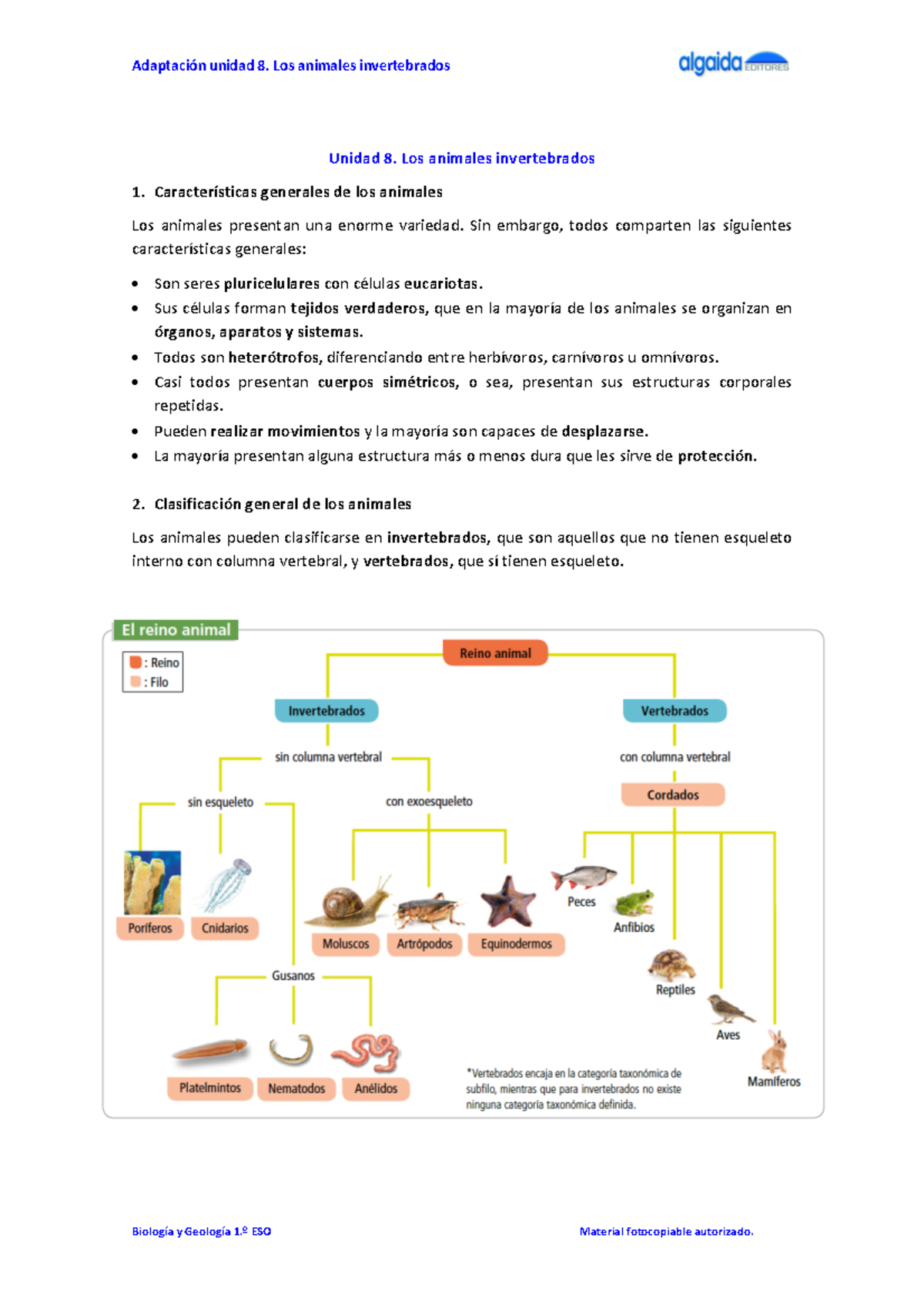 Ficha Invertebrados 1ºESO - Unidad 8. Los animales invertebrados 1 ...