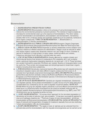 Sample capacity building plan - Sample Capacity Building Plan 2018 ...