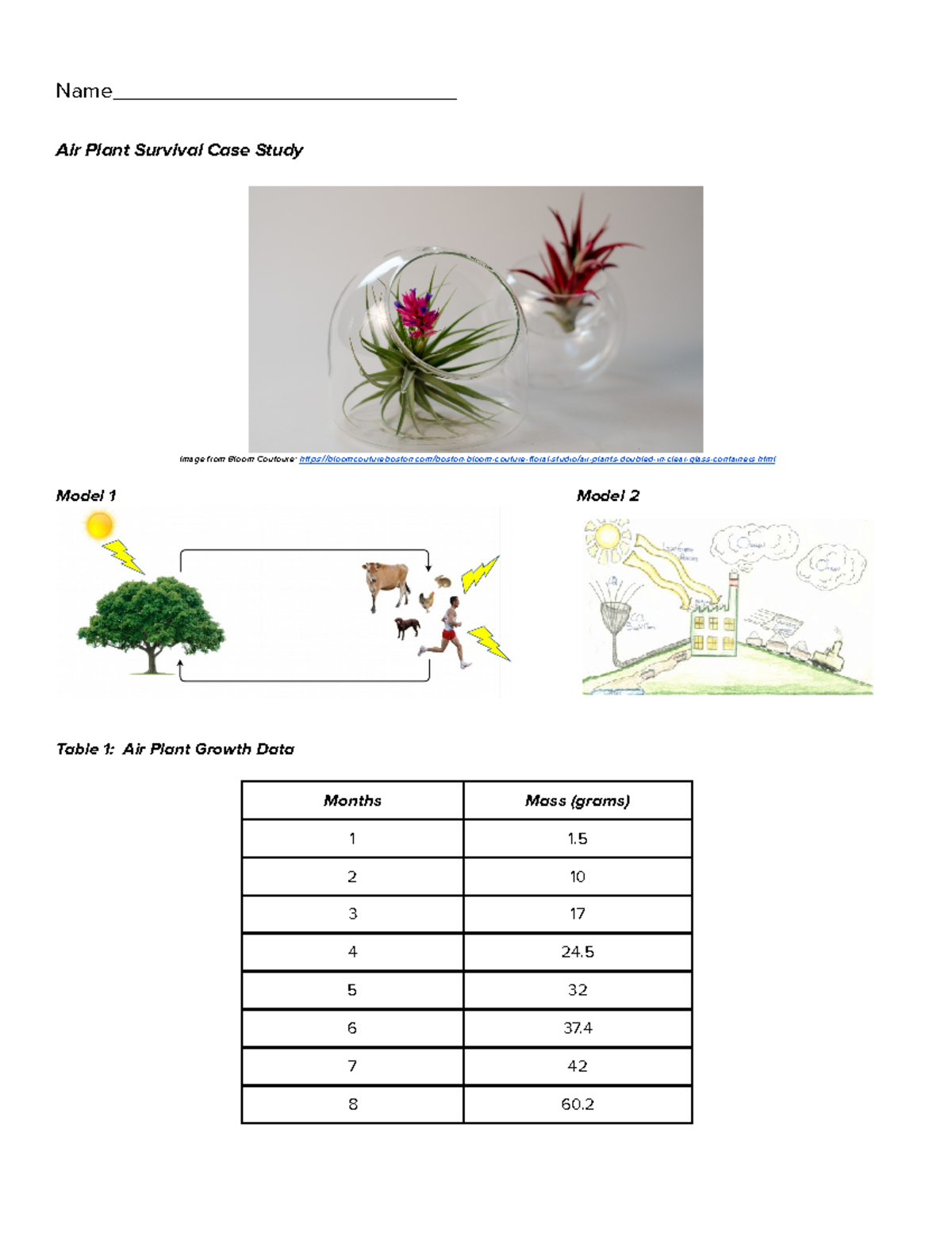 Air Plant Survival Case Study - Name____________________________ Air ...
