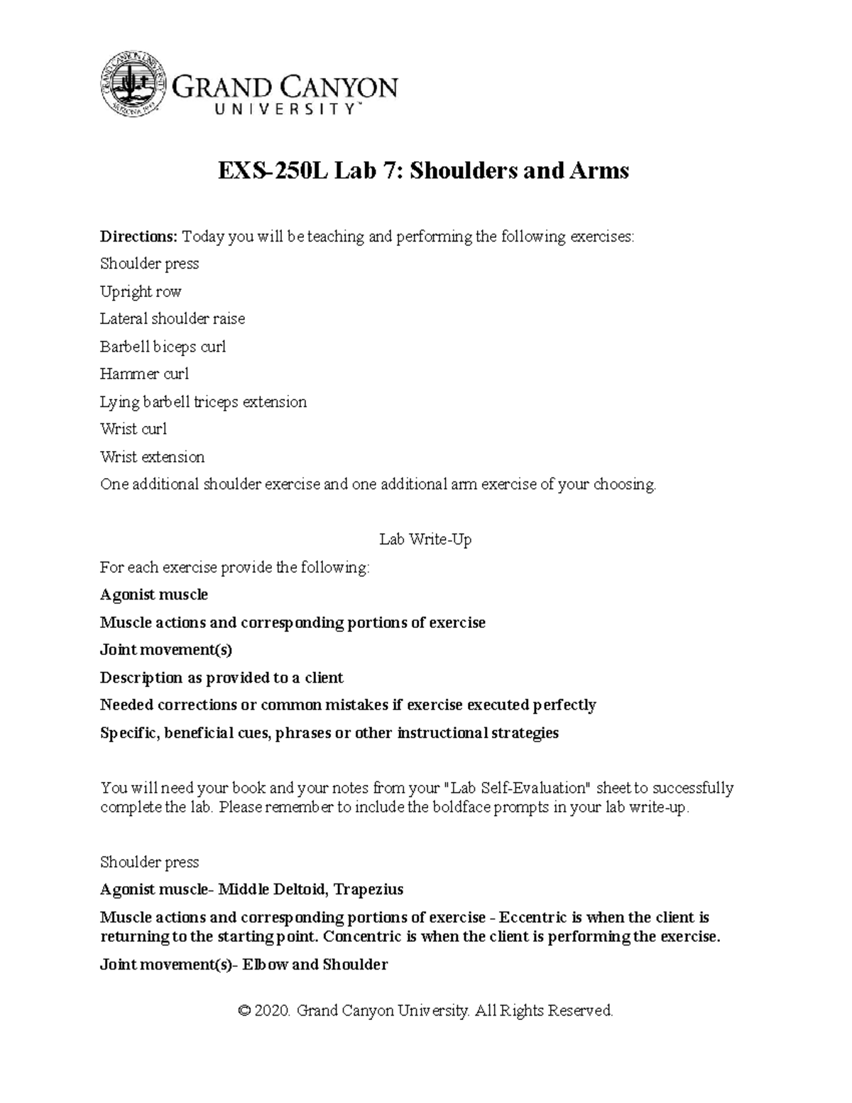 EXS 250L-RS-Lab7-Shouldersand Arms - EXS-250L Lab 7: Shoulders and Arms ...