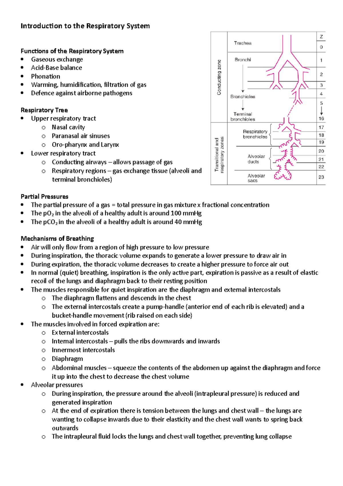 Introduction to the Respiratory System - Introduction to the ...