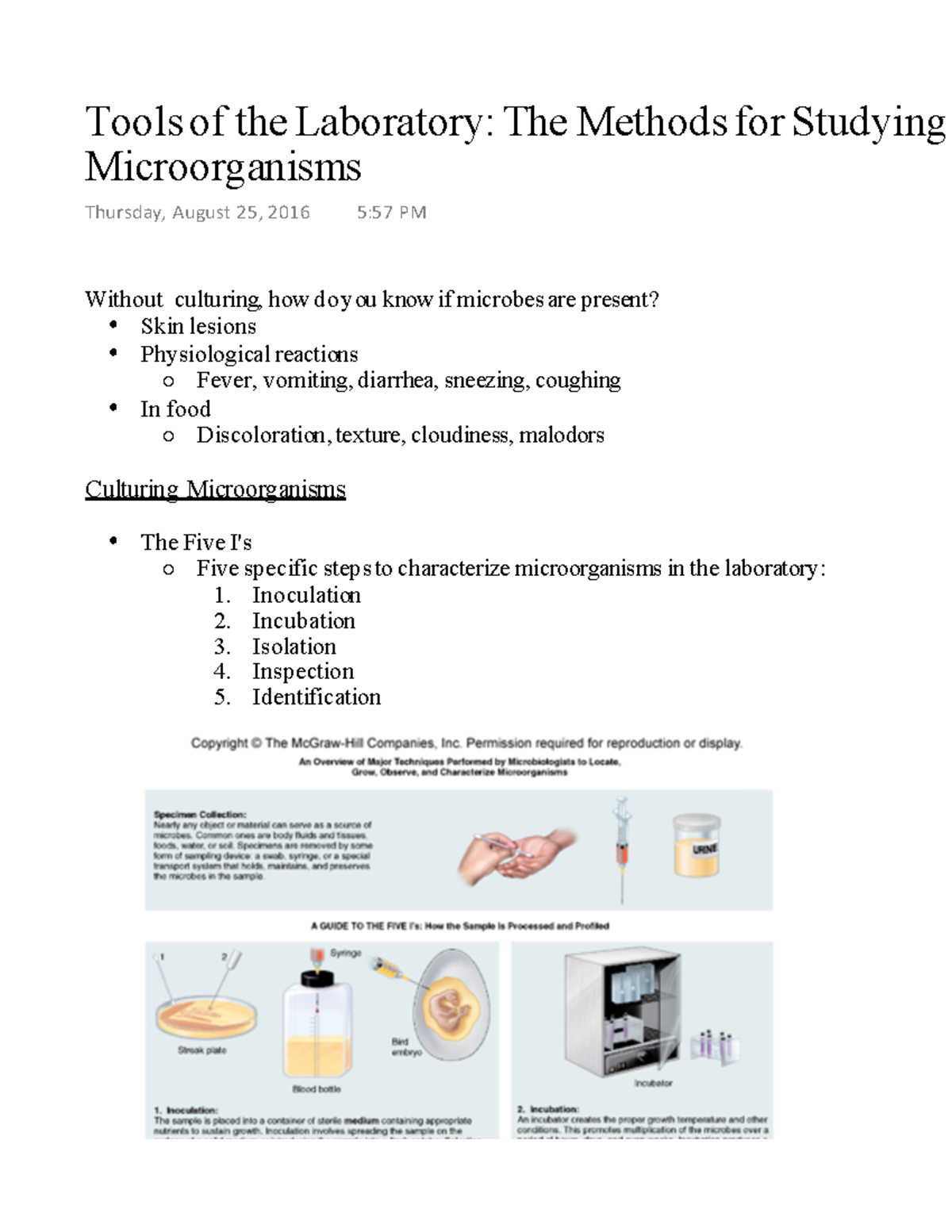 MIC205 - Tools of the Laboratory The Methods for Studying ...