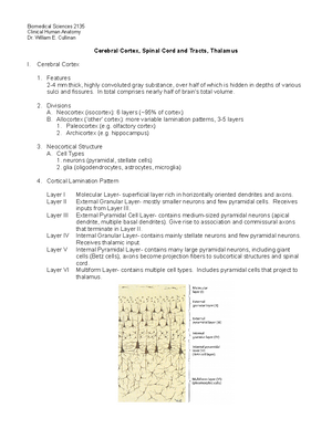 L7- Upper extremity muscles - Biomedical Sciences 2135 Clinical Human ...