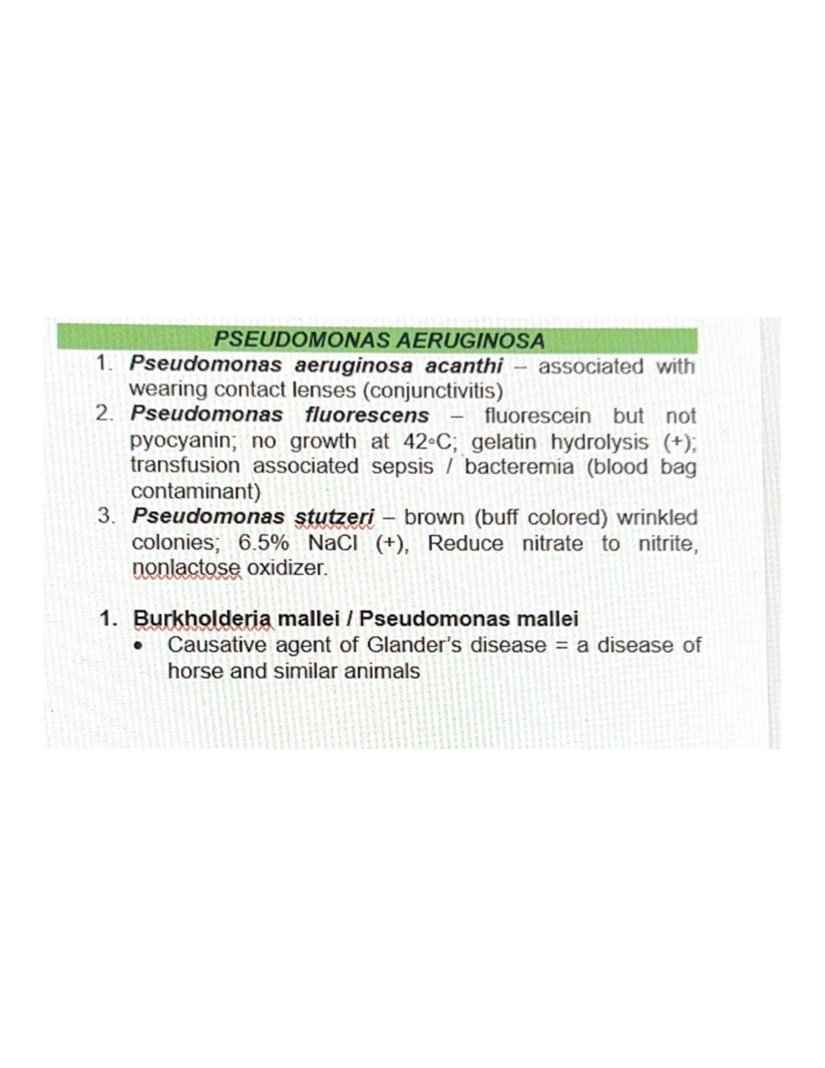 Pseudomonas- Aeruginosa - Medical Terminology - Studocu