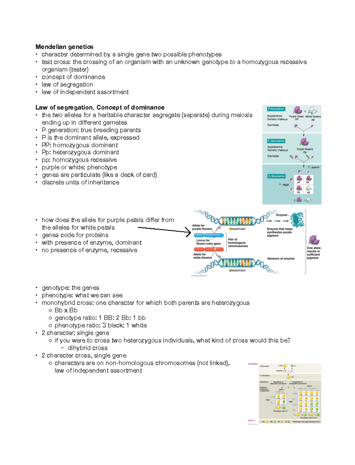 Ch 14 and 15 - introductory biology - Mendelian genetics character ...