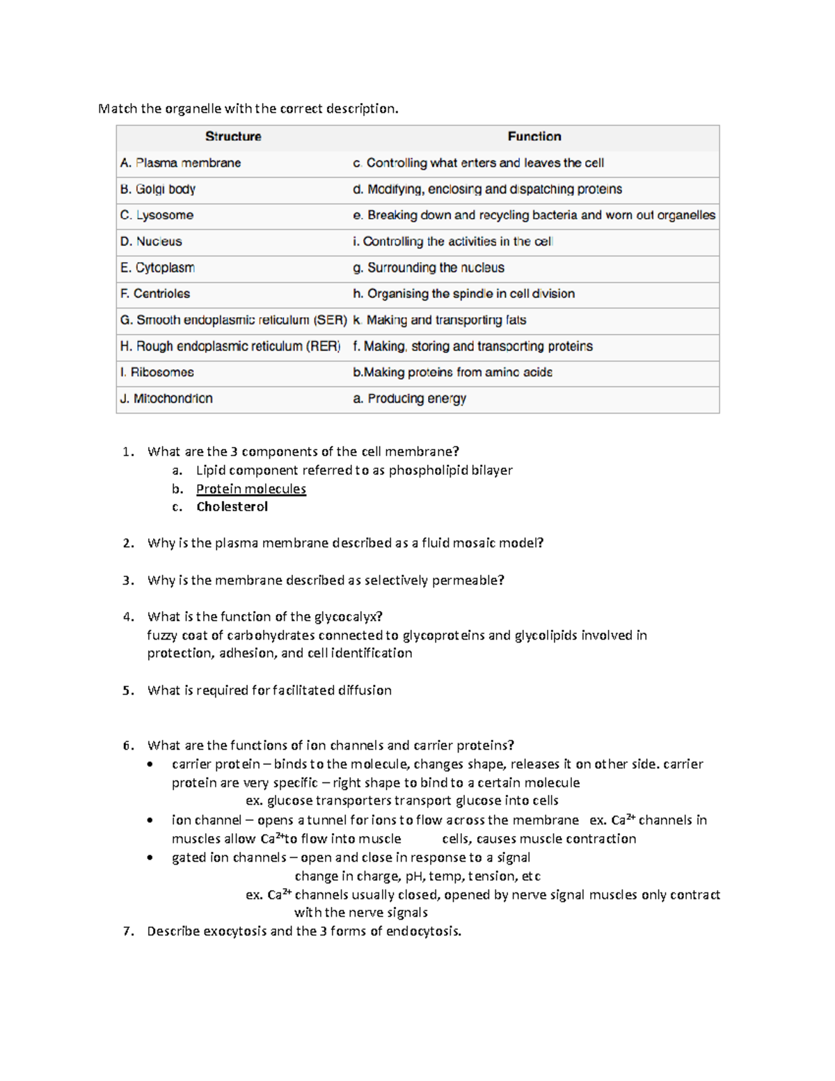 Cell Worksheet Answers - Match the organelle with the correct ...