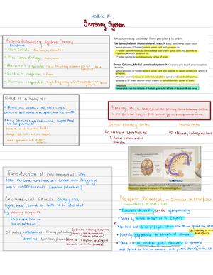 Physiology - Module 6: Nervous System Central Nervous System (CNS)