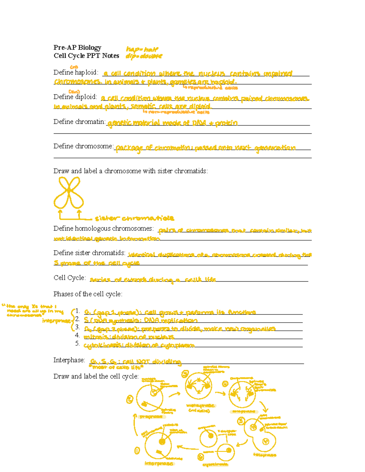 Copy of 5.4a Cell Cycle Notes - Pre-AP Biology Cell Cycle PPT Notes ...