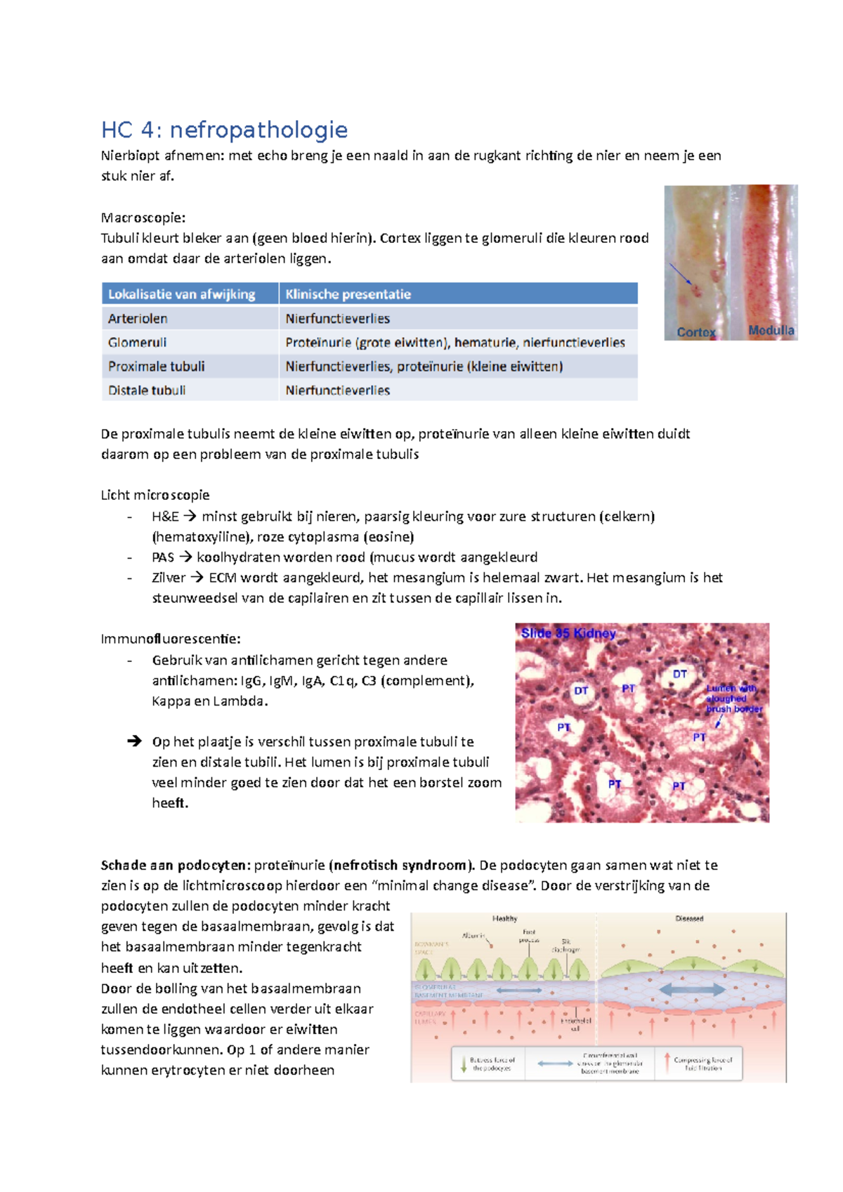 HC 4 CIRC 3 - Ook heel handig als verbereiding op practicum. - HC 4 ...
