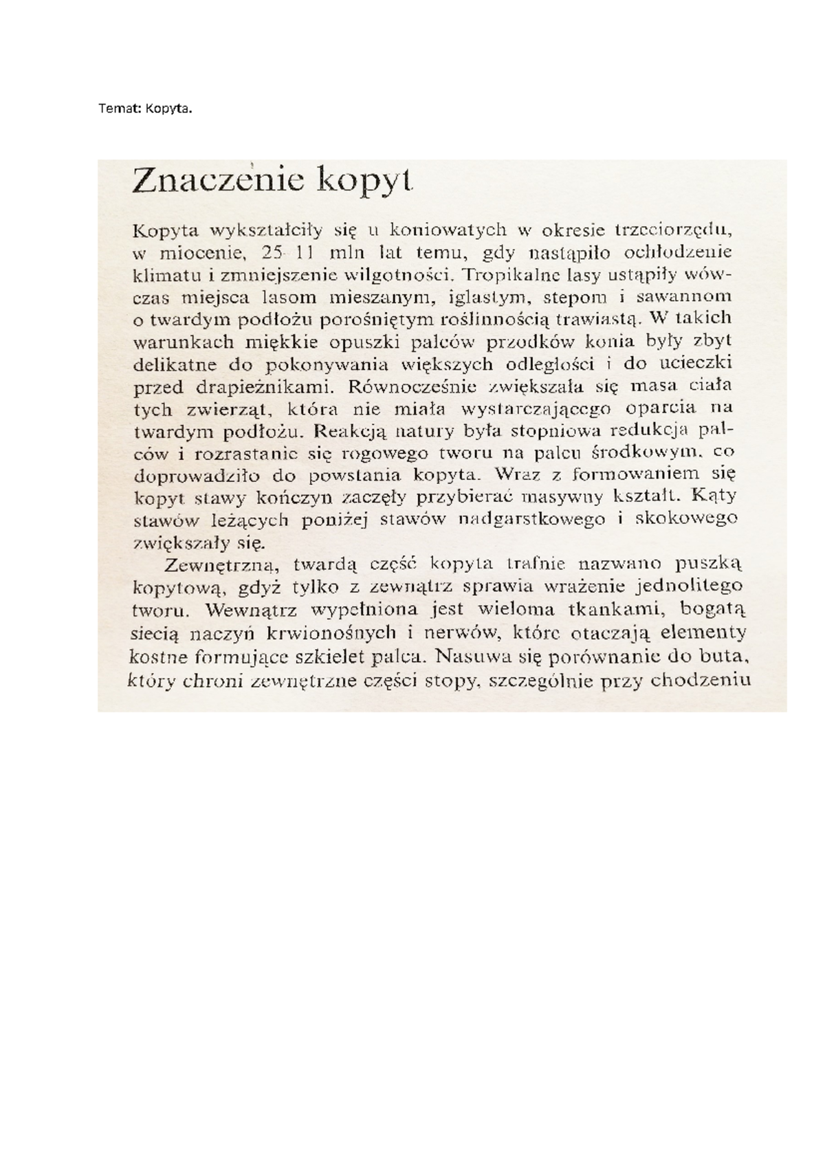 Kopyta - Znaczenie kopyt Kopyta wyksztalcity sie u koniowatych W ...