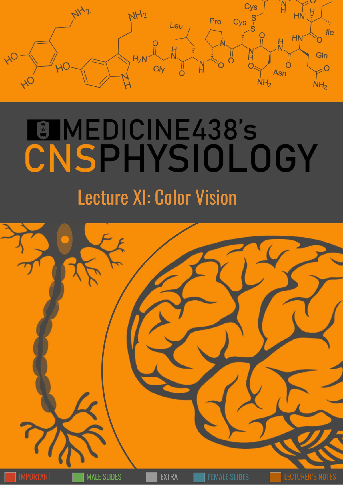 11th Lecture Color Vision - CNS Physiology - Lecture XI: Color Vision ...