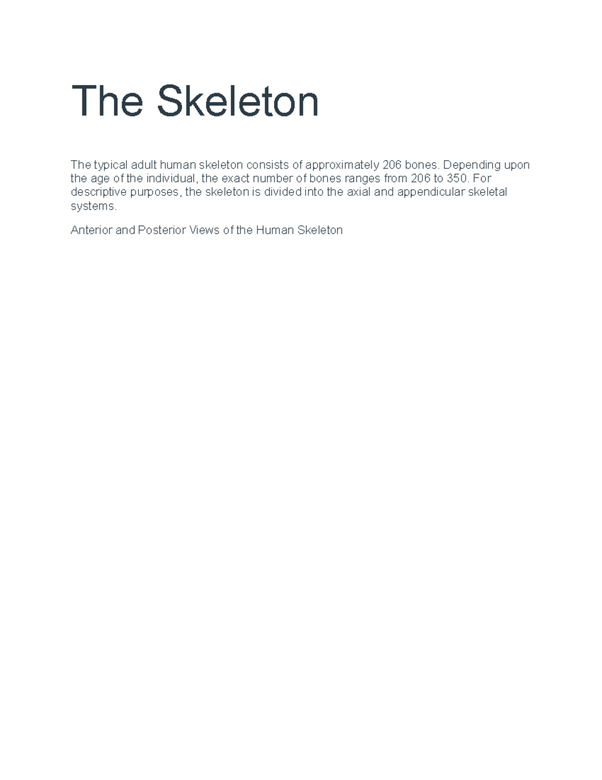 The Skeleton - Instructor given course notes complete. - The Skeleton ...