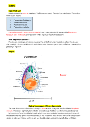 HSC Biology 2023 module 7 - infectious diseases - HSC Biology module 7 ...