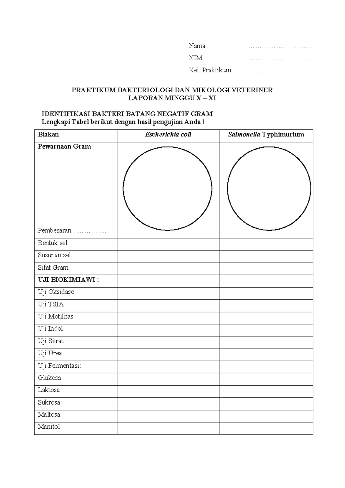 Lap Prakt Minggu 10-11 - abc - Nama NIM Kel. Praktikum