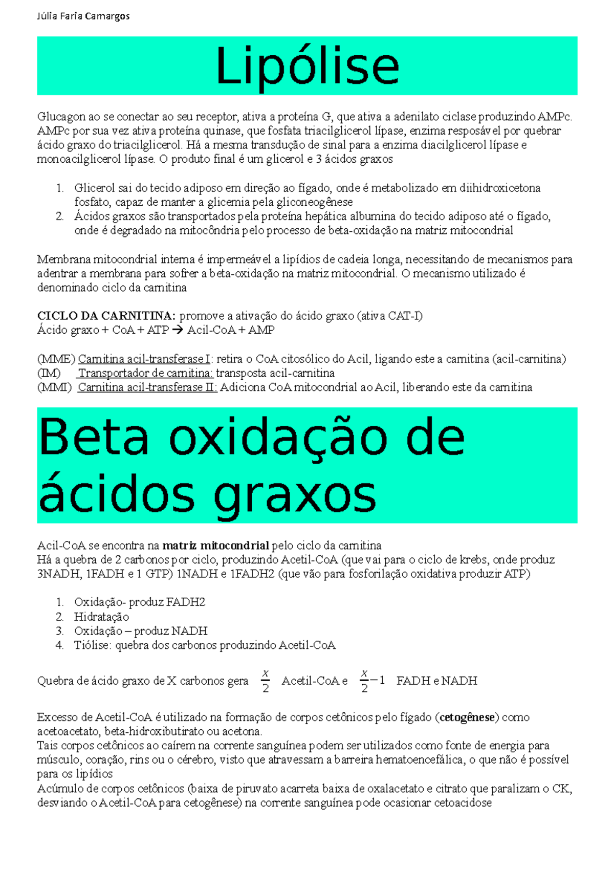 metabolismo de lipídios - Júlia Faria Camargos Lipólise Glucagon ao se ...