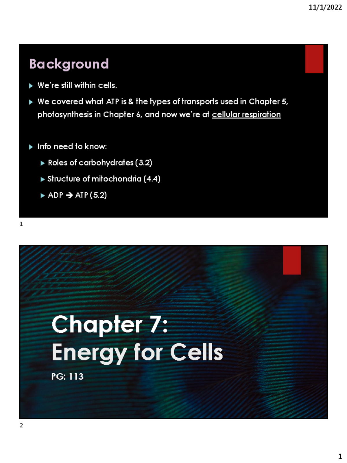 Chapter 7 the complete study guide - Background We’re still within ...