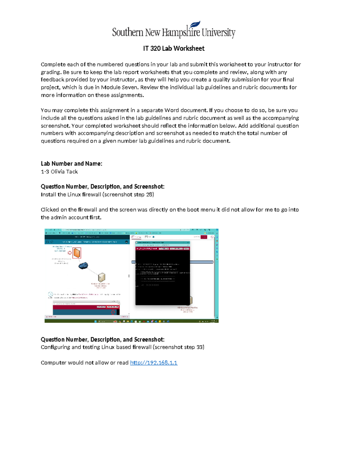 IT 320 Module Lab 1-3 Worksheet Template - IT 320 Lab Worksheet ...