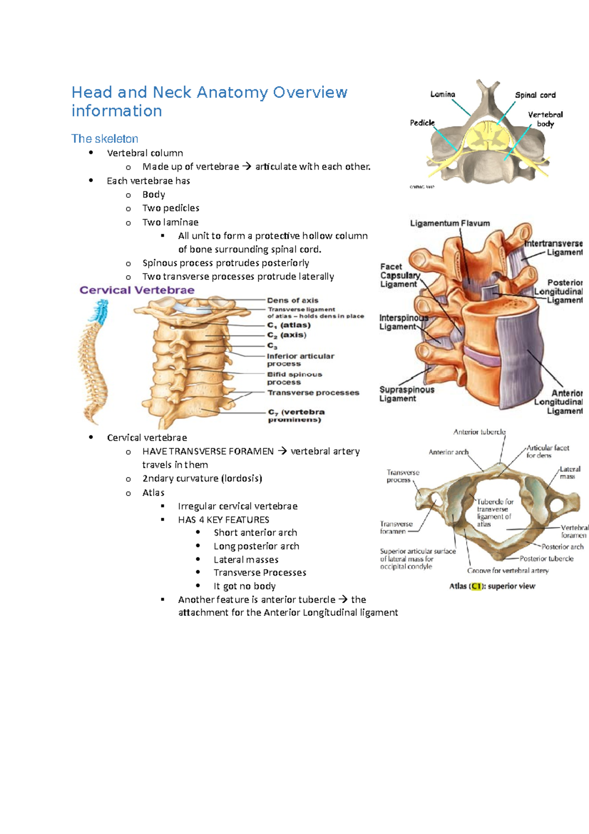 Head and Neck Anatomy Overview session information - Head and Neck ...