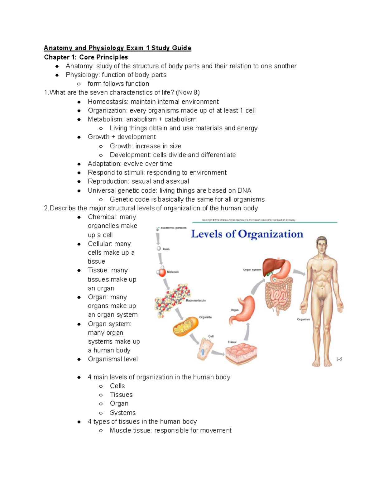 Copy Of Anatomy And Physiology Exam 1 Study Guide Anatomy And 