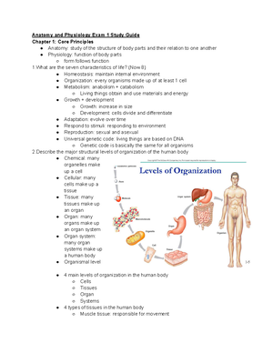 Lab Exam 2 - Study guide for anatomy lab exam 2 - Bone Tissue 206 bones in adult skeleton Types ...