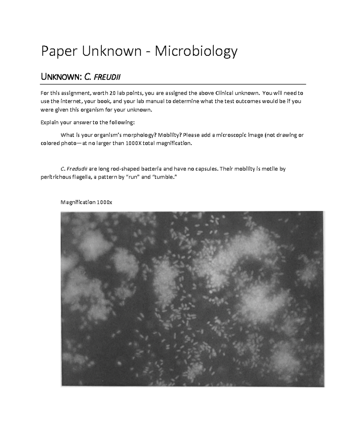 Paper Unknown - F - yeah - Paper Unknown - Microbiology U NKNOWN : C ...