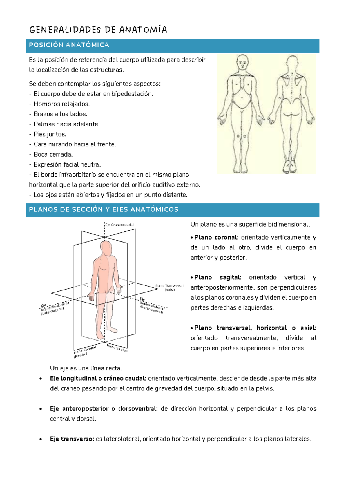 U1 Generalidades de Anatomía - GENERALIDADES DE ANATOMÍA POSICIÓN ...