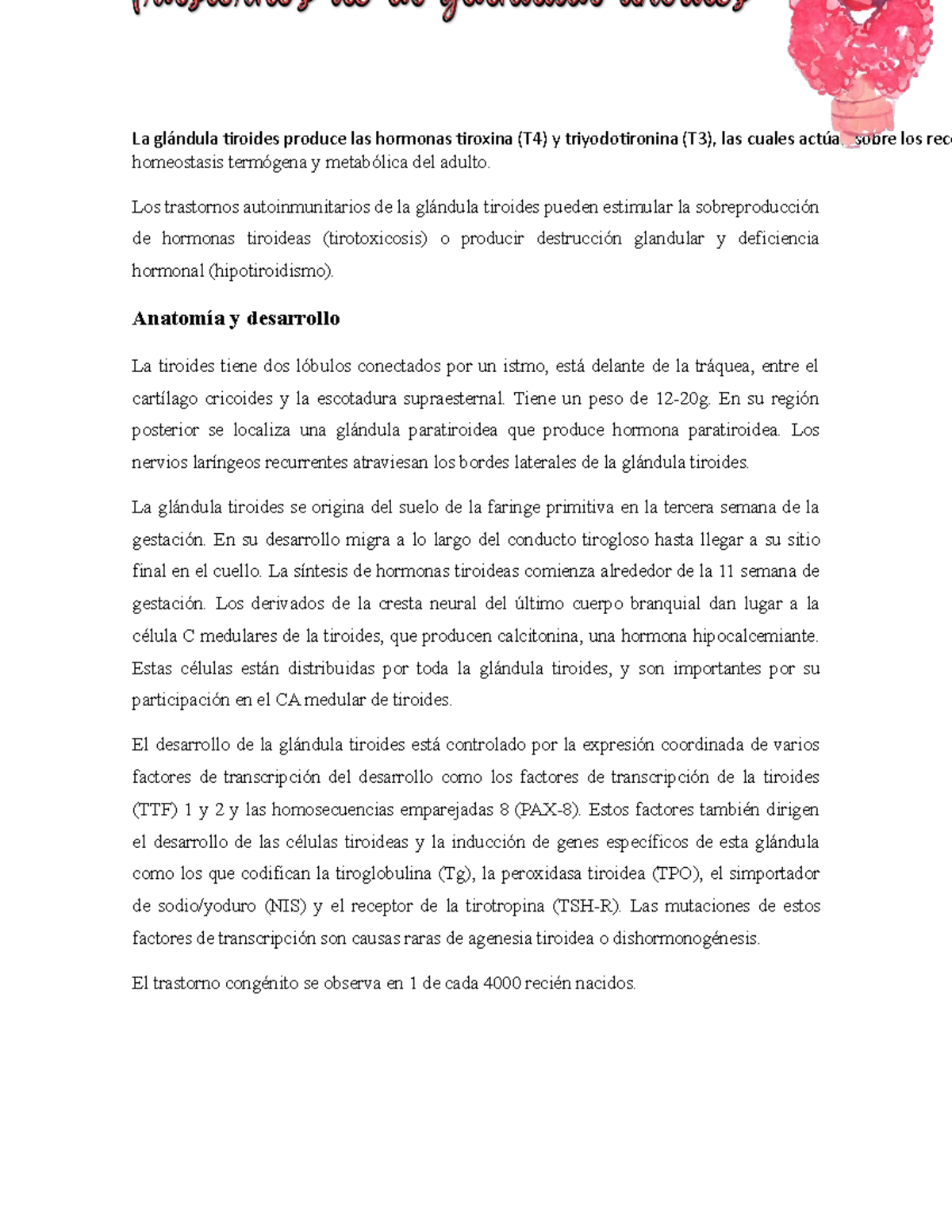 Trastornos de la glándula tiroides - La glándula tiroides produce las ...