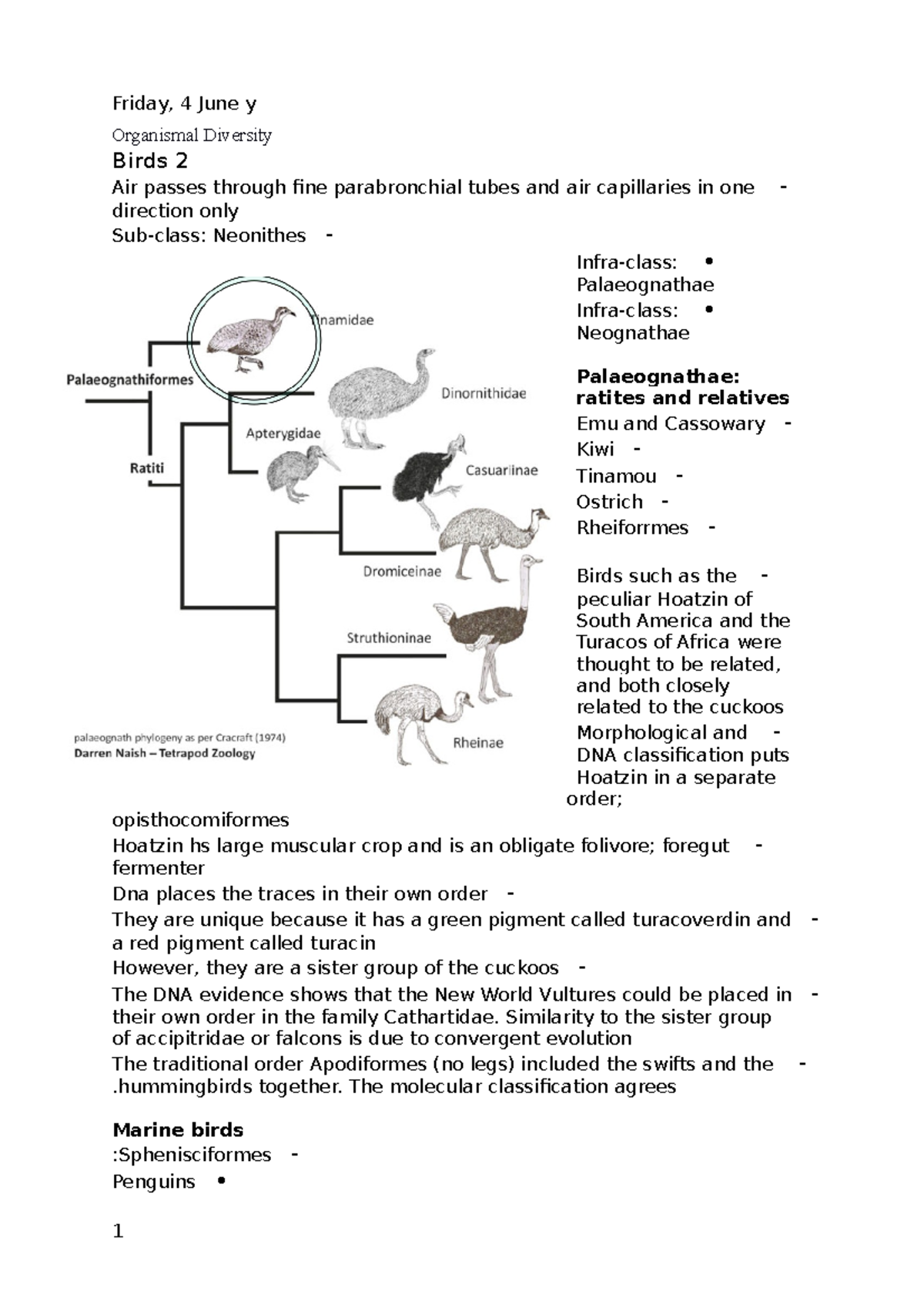 Birds 2 - Lecture notes 5 - Friday, 4 June y Organismal Diversity Birds ...