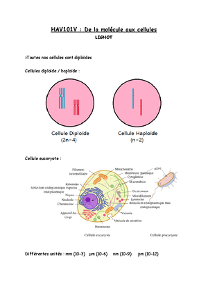 Organisation Structurale ET Fonctionnelle DE LA Cellule - ORGANISATION STRUCTURALE ET ...