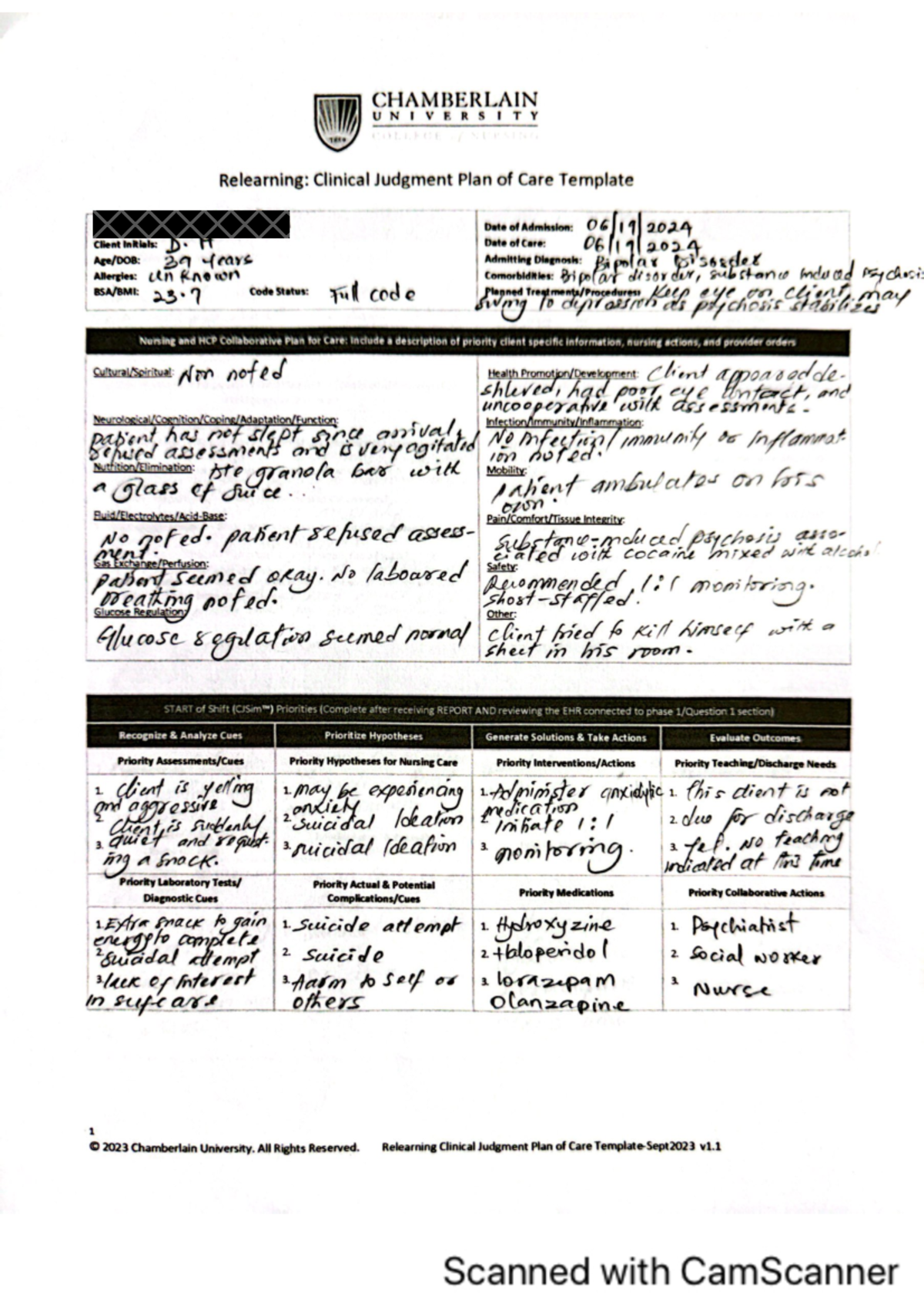 Plan of care assignment for mental health nursing at chamberlain ...