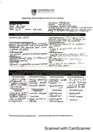 Plan of care template for mental health nursing at chamberlain ...