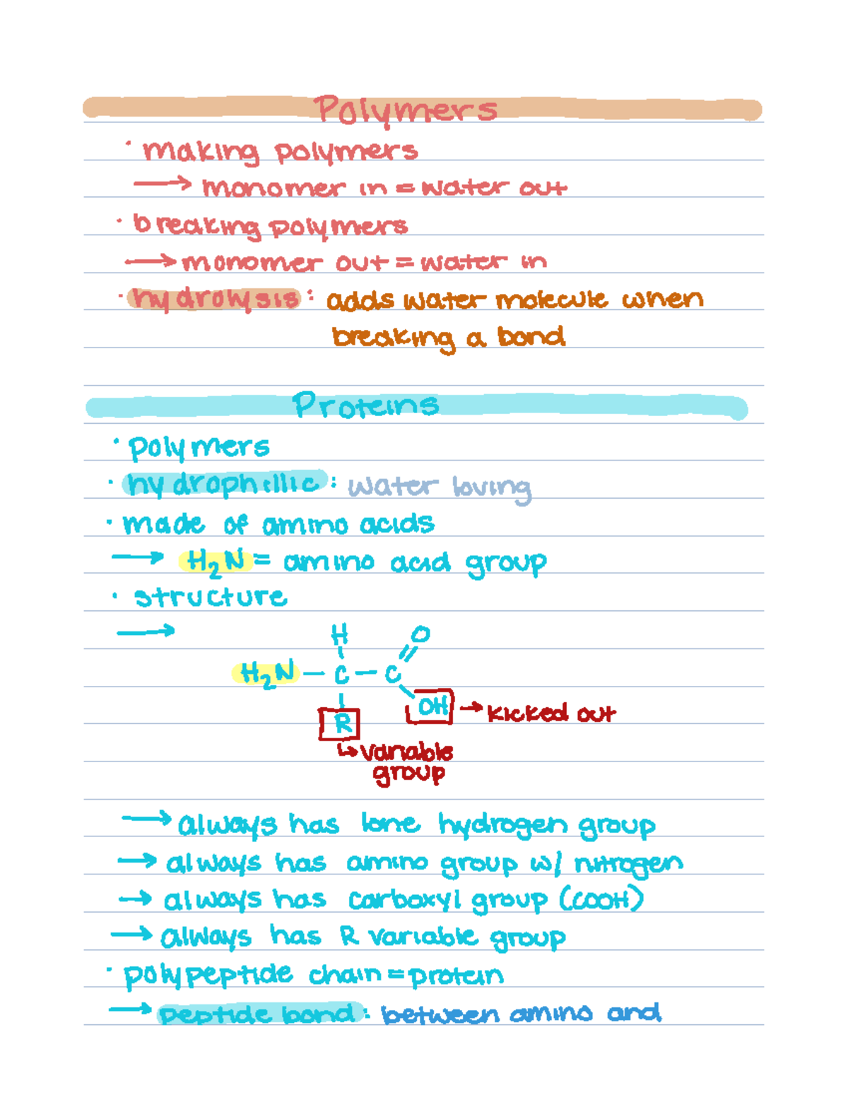 BIO1700 Chapter 2.2 - Organic Molecules of Life - Polymers making ...