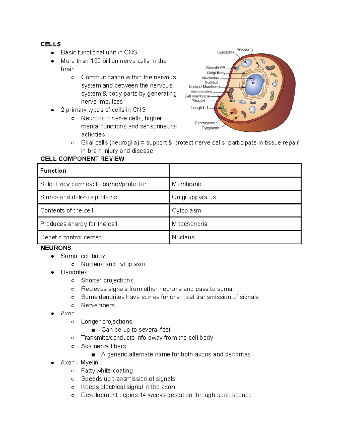 Chapter 5 - Lecture notes to prepare for exam/assignments - CELLS Basic ...