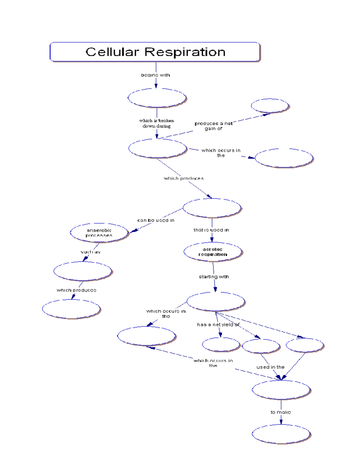 Cellular repiration - What are the 3 phases of cellular respiration ...