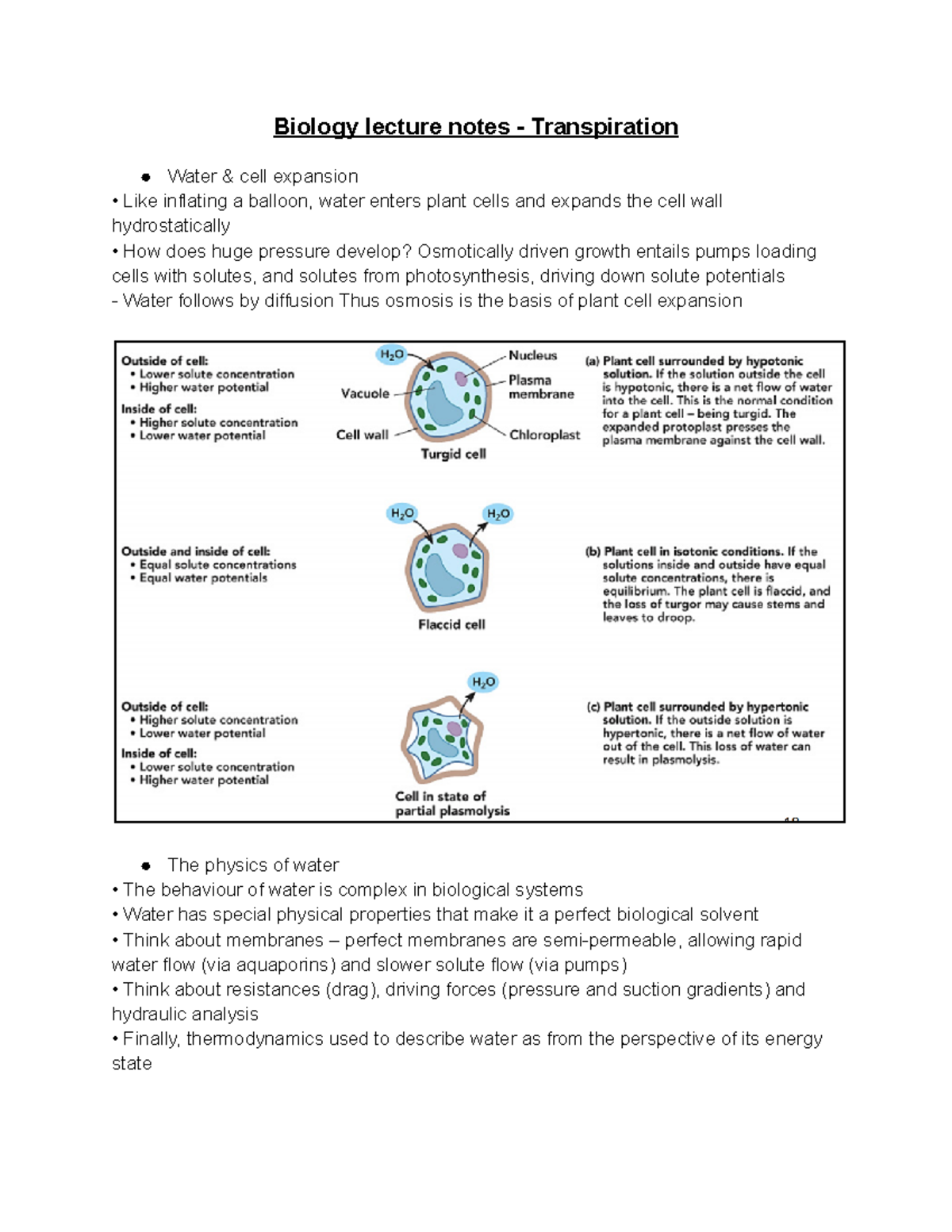 Biology lecture notes - Transpiration - Water is lost by evaporation ...