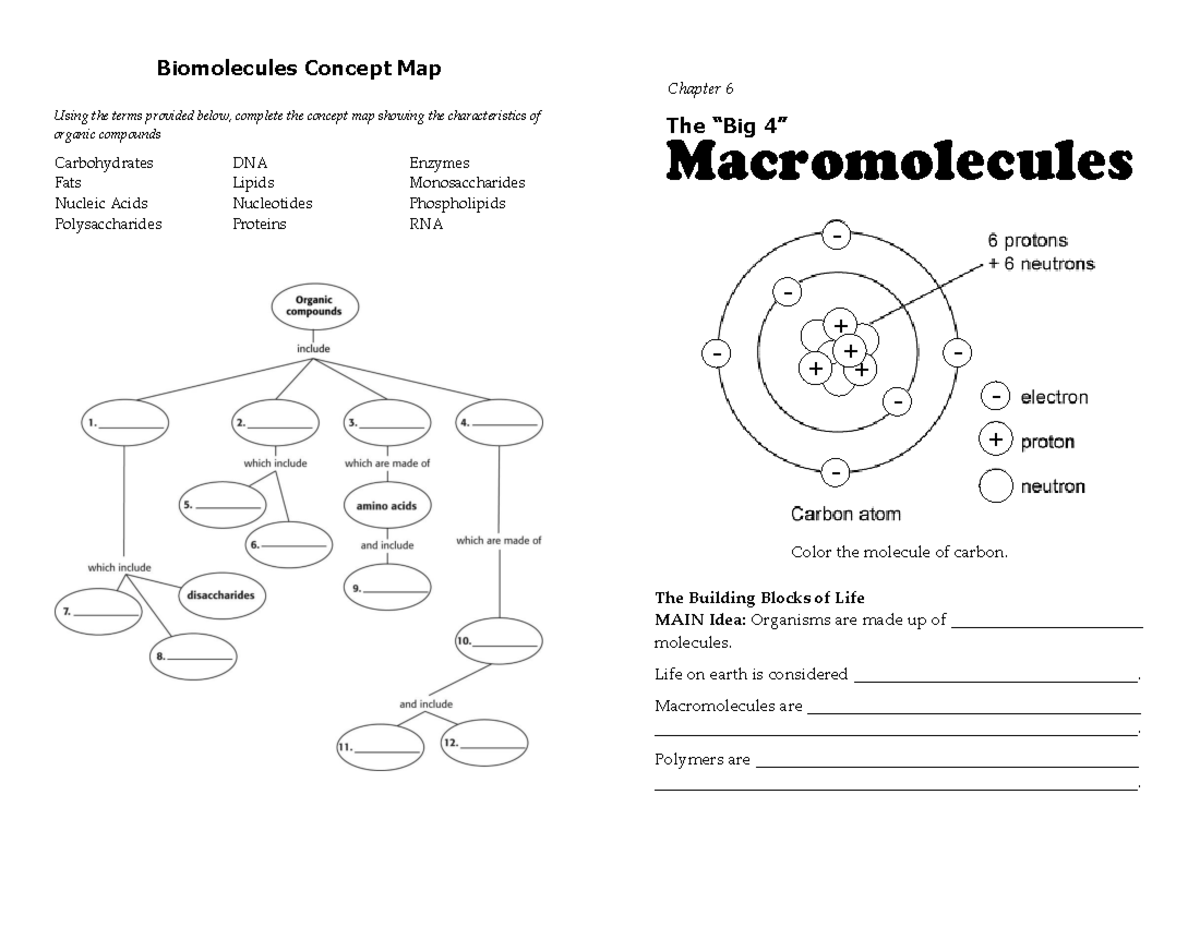 00-Biomolecules Booklet 2017 - Biomolecules Concept Map Using the terms ...