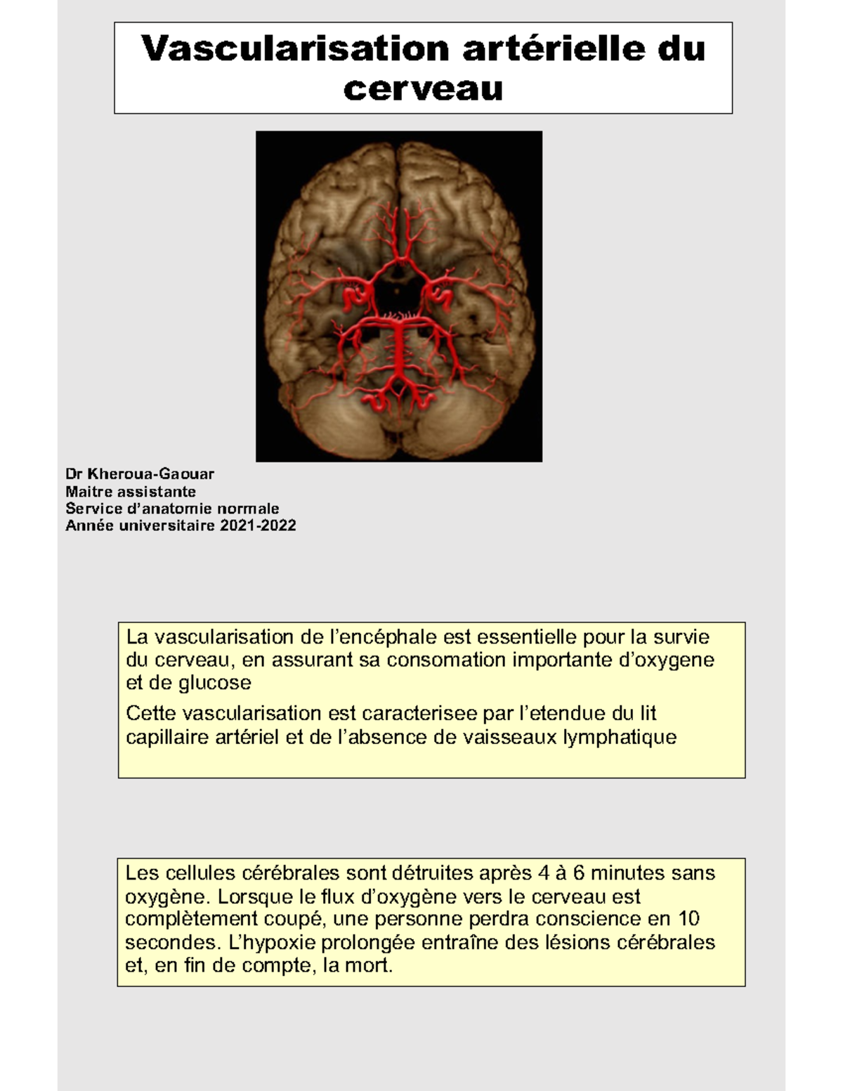 Vascularisation artérielle du cerveau - Vascularisation artérielle du ...