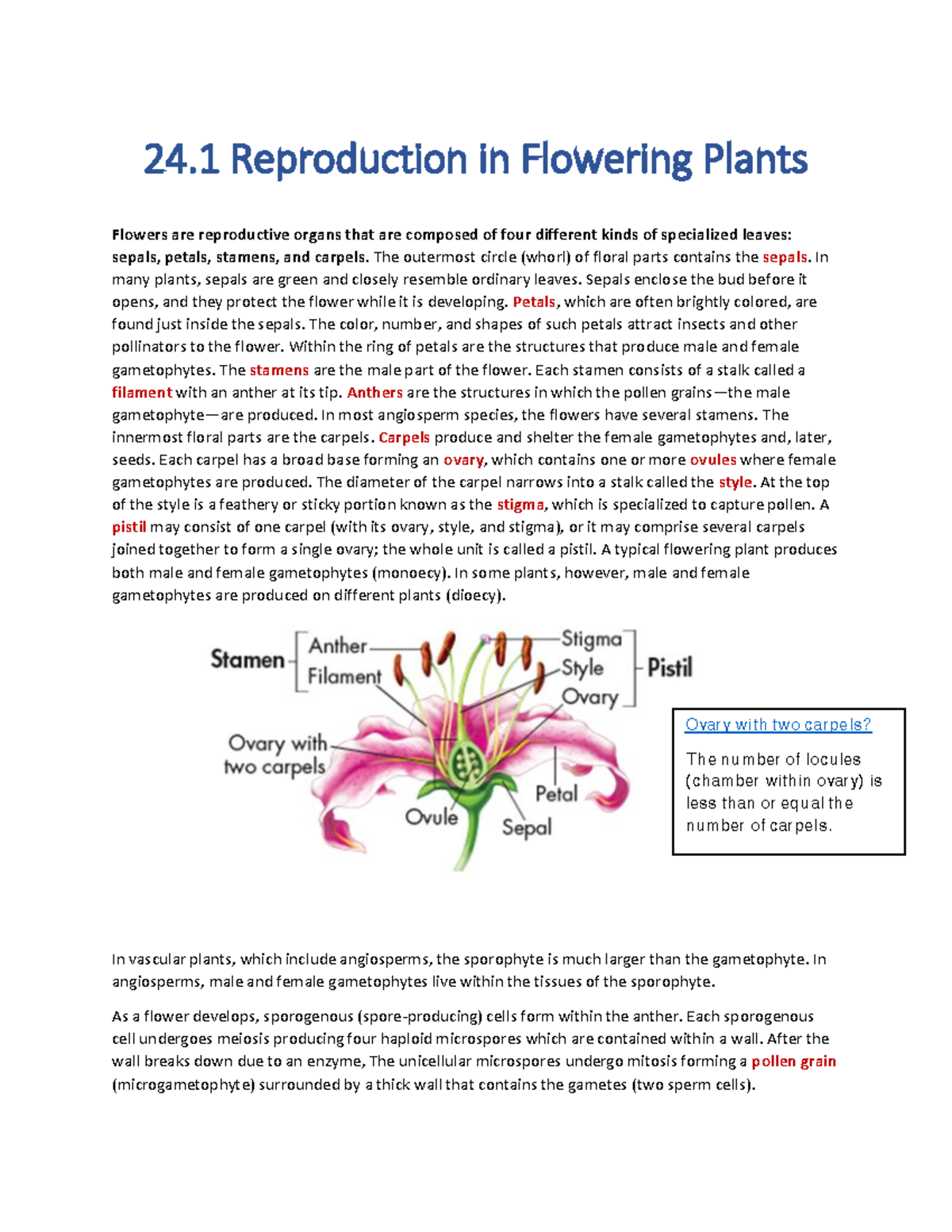 Chapter 24 Summary - for the first half of the course - 24 Reproduction ...
