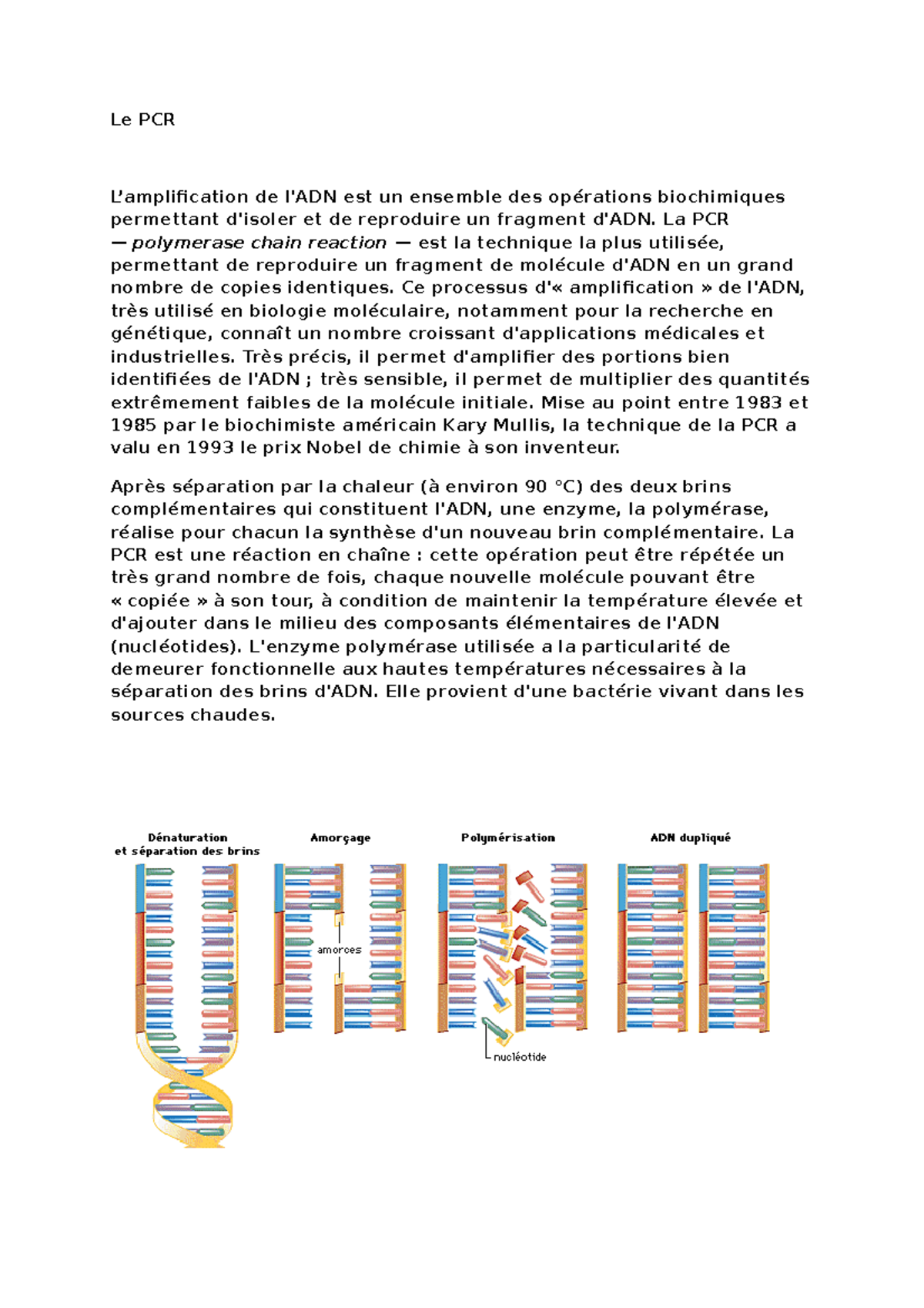 Le polymerase chain reaction (pcr) - Le PCR L’amplification de l'ADN ...