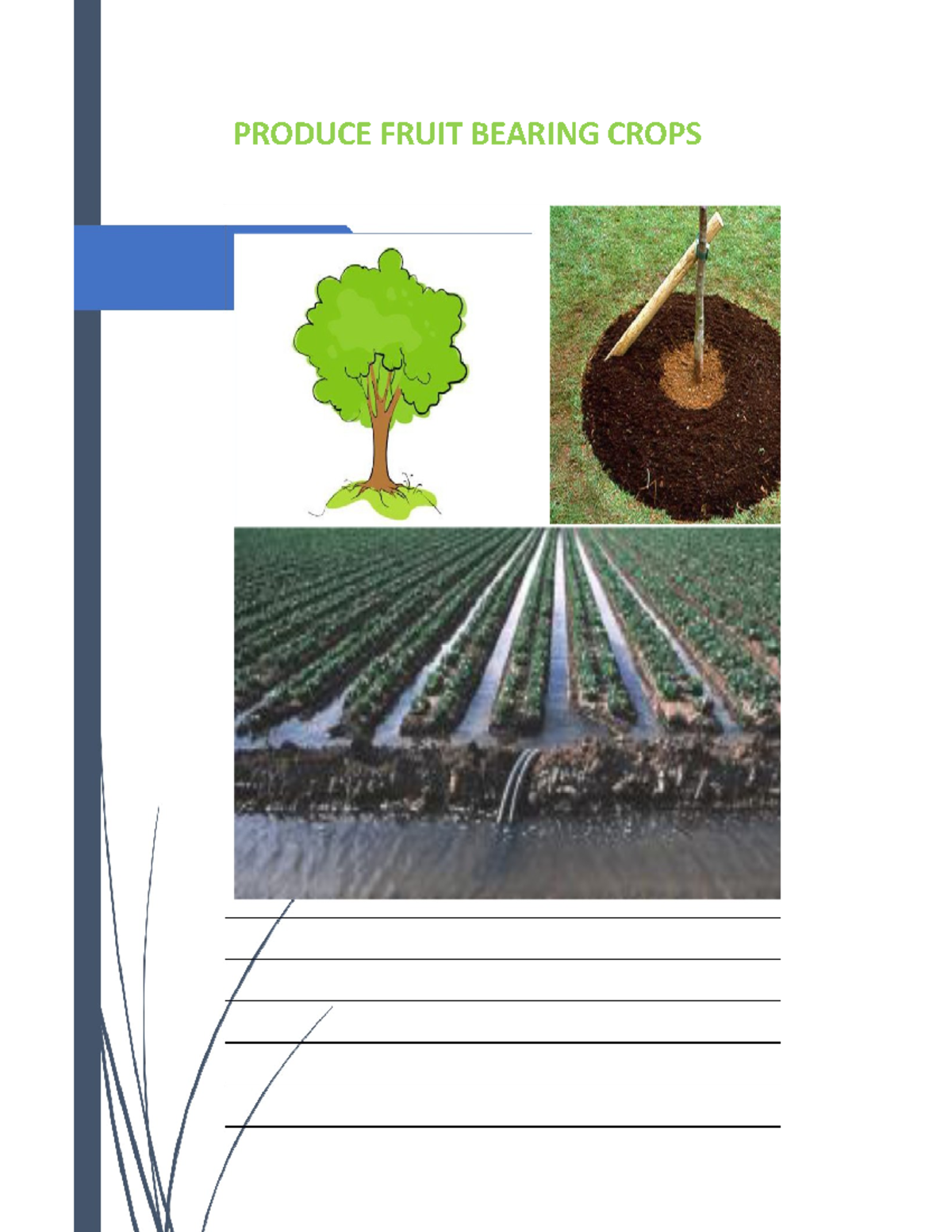 Produce Fruit Bearing Crops Module - PRODUCE FRUIT BEARING CROPS INTRODUCTION This module covers ...