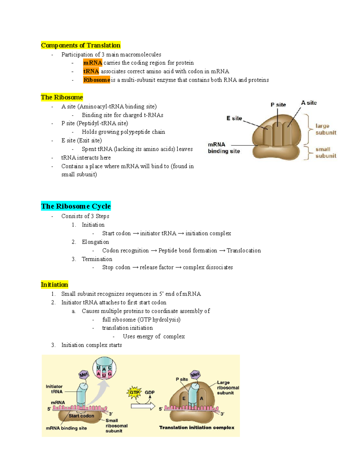 F Lec 23 (Translation) - Lecture notes 23 - Components of Translation ...